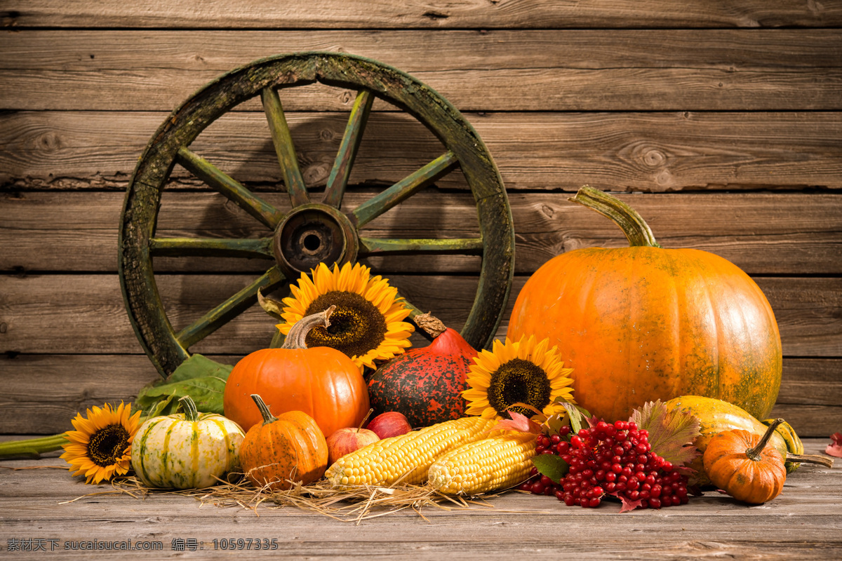 轮子和南瓜素材图片下载-素材编号10597335-素材天下图库